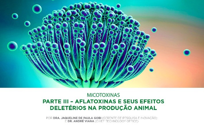 Mais uma continuidade da série de artigos sobre micotoxinas produzido ...