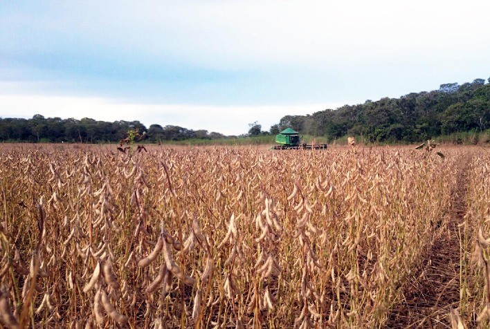 Clima seco no RS preocupa e SAFRAS revisa estimativa de produção de ... Clima seco no RS preocupa e SAFRAS revisa estimativa de produção de ...
