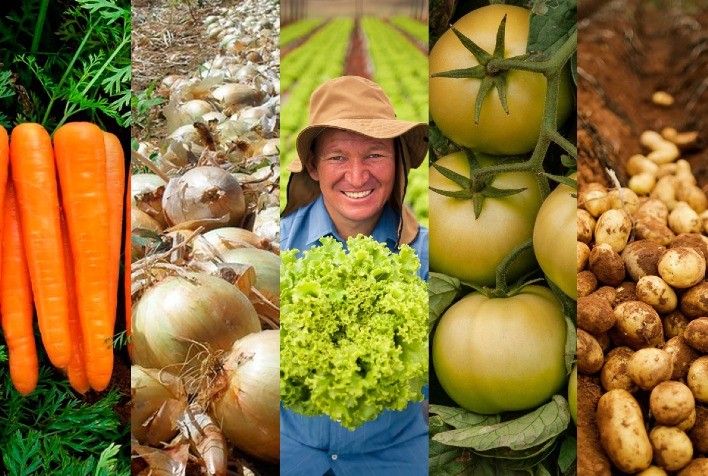 Hortifruti: Clima para as hortaliças: balanço 2022 e verão 2022/23 ...