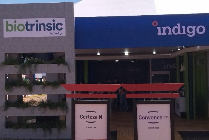 Indigo abre vagas em diversas regiões do Brasil - Portal do Agronegócio