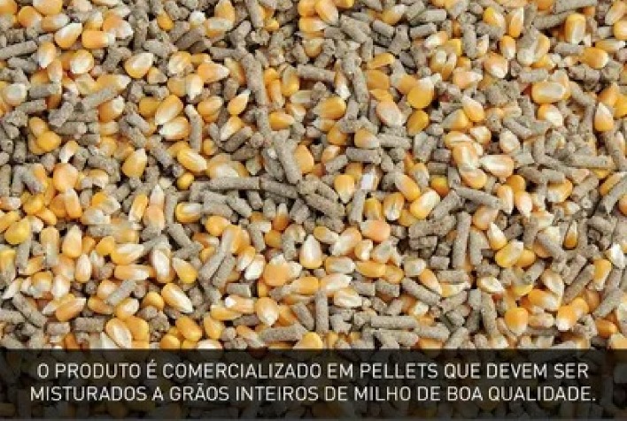 Diminuição histórica do preço do milho e a dieta do grão inteiro na ...