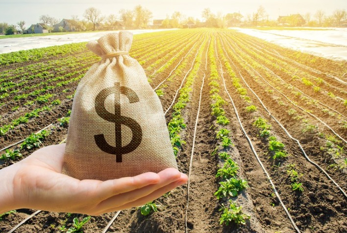 Especialista em crédito rural explica como funciona esse modelo de ...