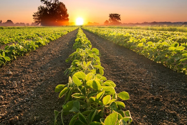 Os desafios do mercado agro no aumento da produtividade - Portal do ...