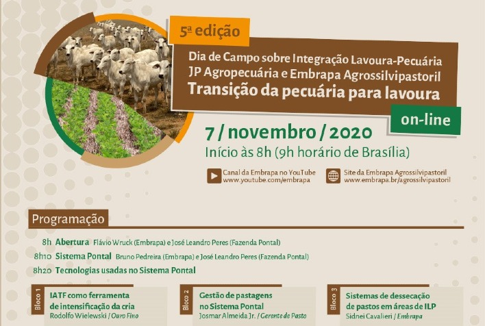 Dia de campo on-line mostra a transição entre seca e chuvas em sistema ...
