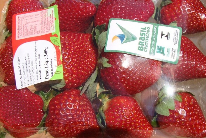 Embrapa lança terceiro vídeo da campanha morango com selo Brasil ...