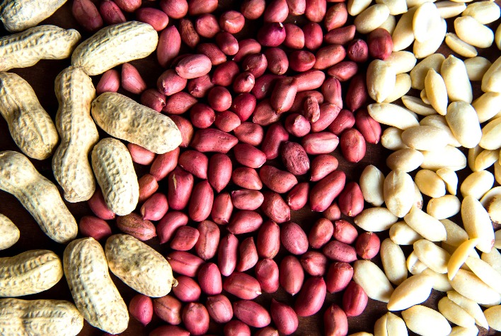 The revenues from export of fresh peanuts in Brazil reaches US$ 70.8 ...