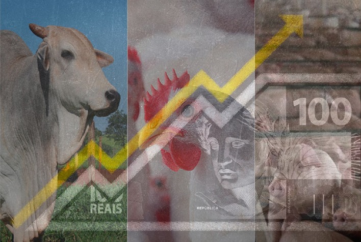 Boi, suíno e frango vivos: evolução de preços do pré ao pós-Covid-19 ...